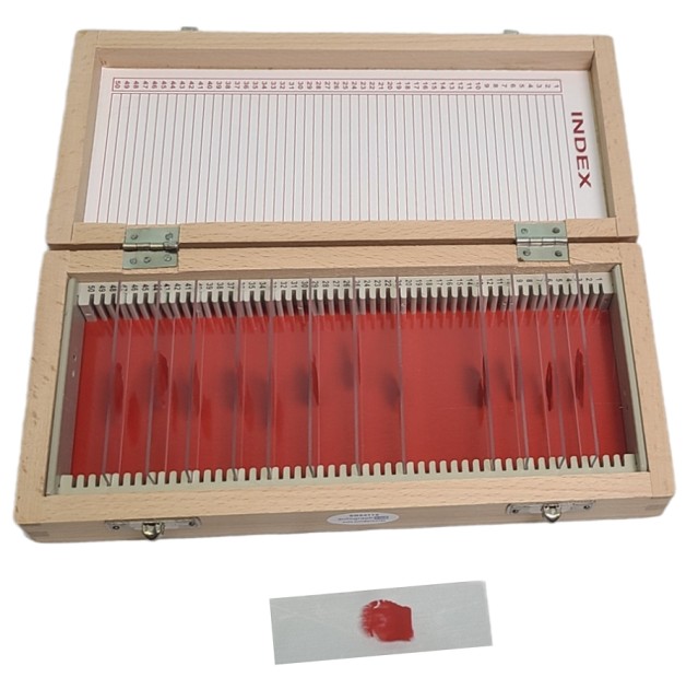 Dexter Cast Signed Custom Blood Glass Slides Case - CharityStars