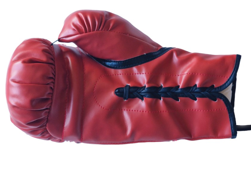 Guantone Everlast Autografato da Mike Tyson - CharityStars
