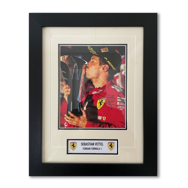 Sebastian Vettel F1 Signed Display - CharityStars