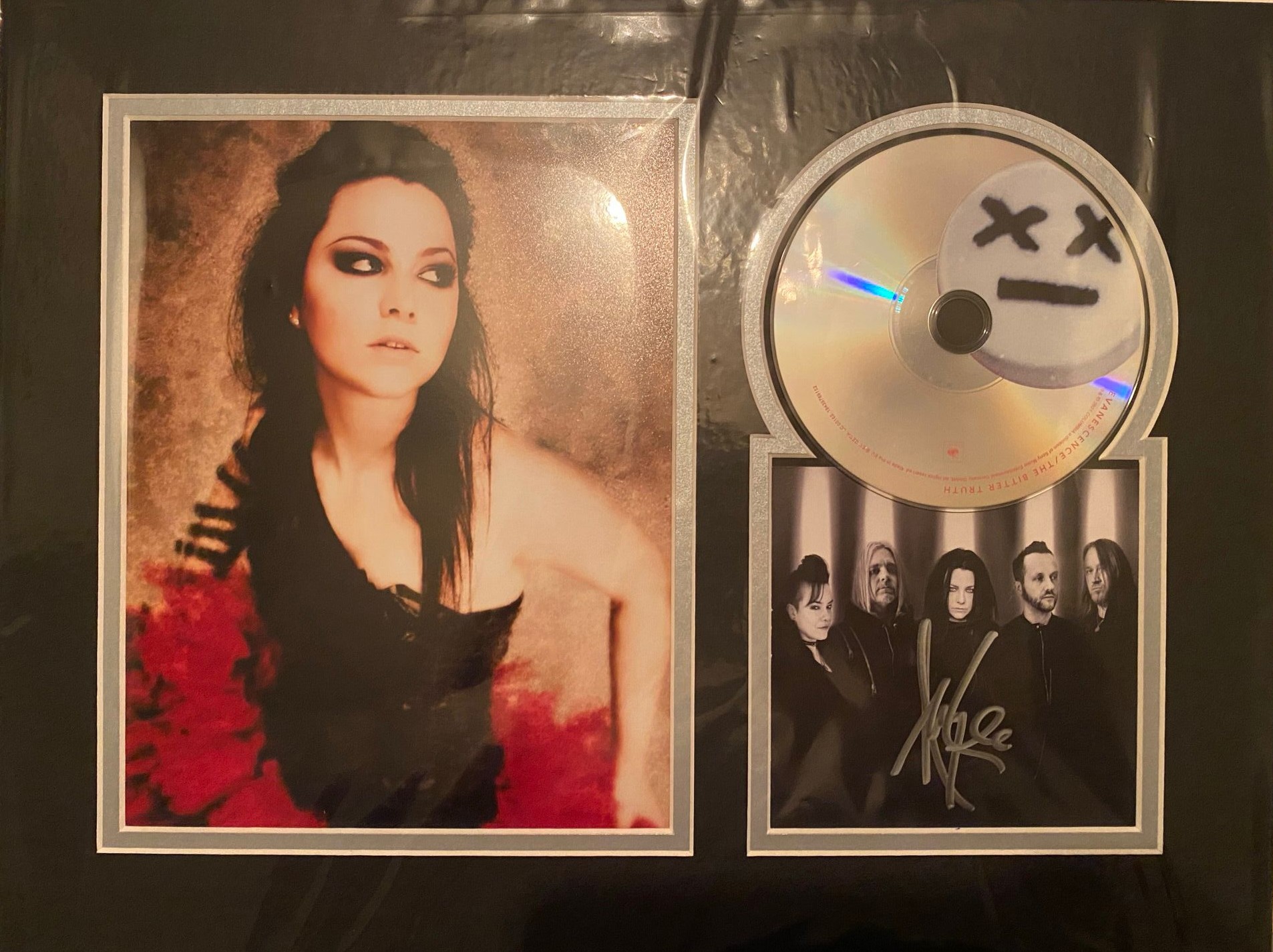 Amy Lee Signed and Mounted CD - CharityStars