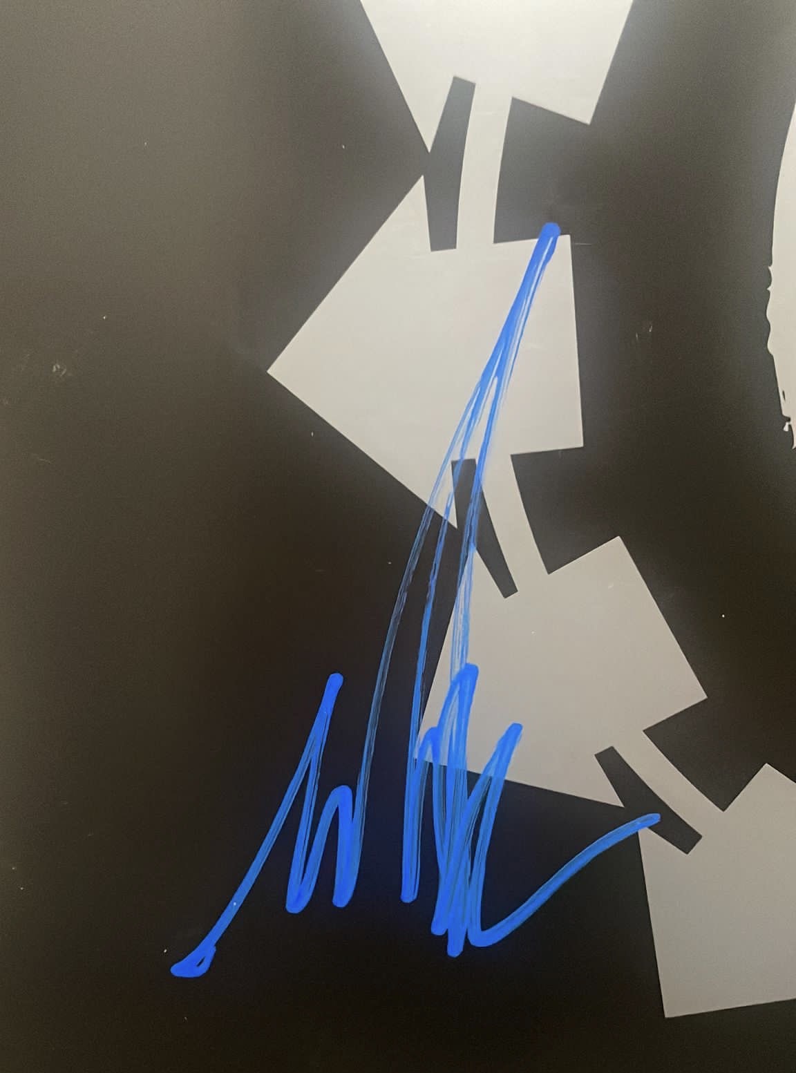 Mark Hoppus of Blink 182 Signed Vinyl LP - CharityStars