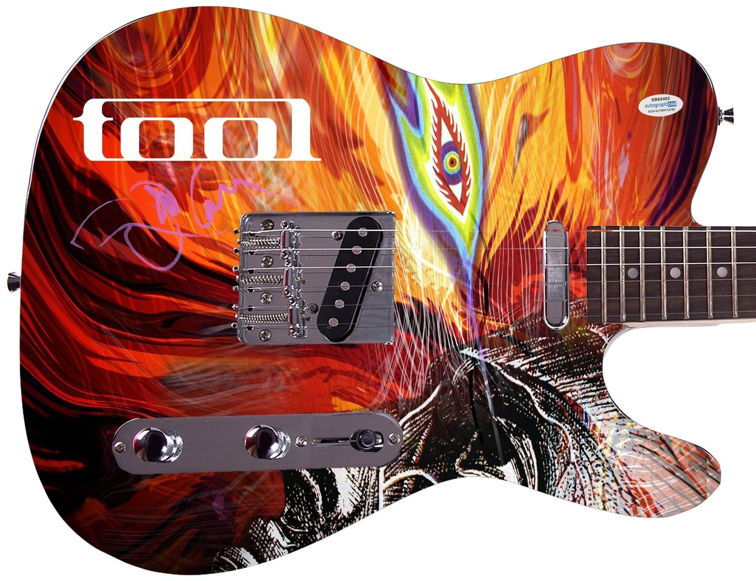 Danny Carey of Tool Signed Custom Graphics Guitar - CharityStars