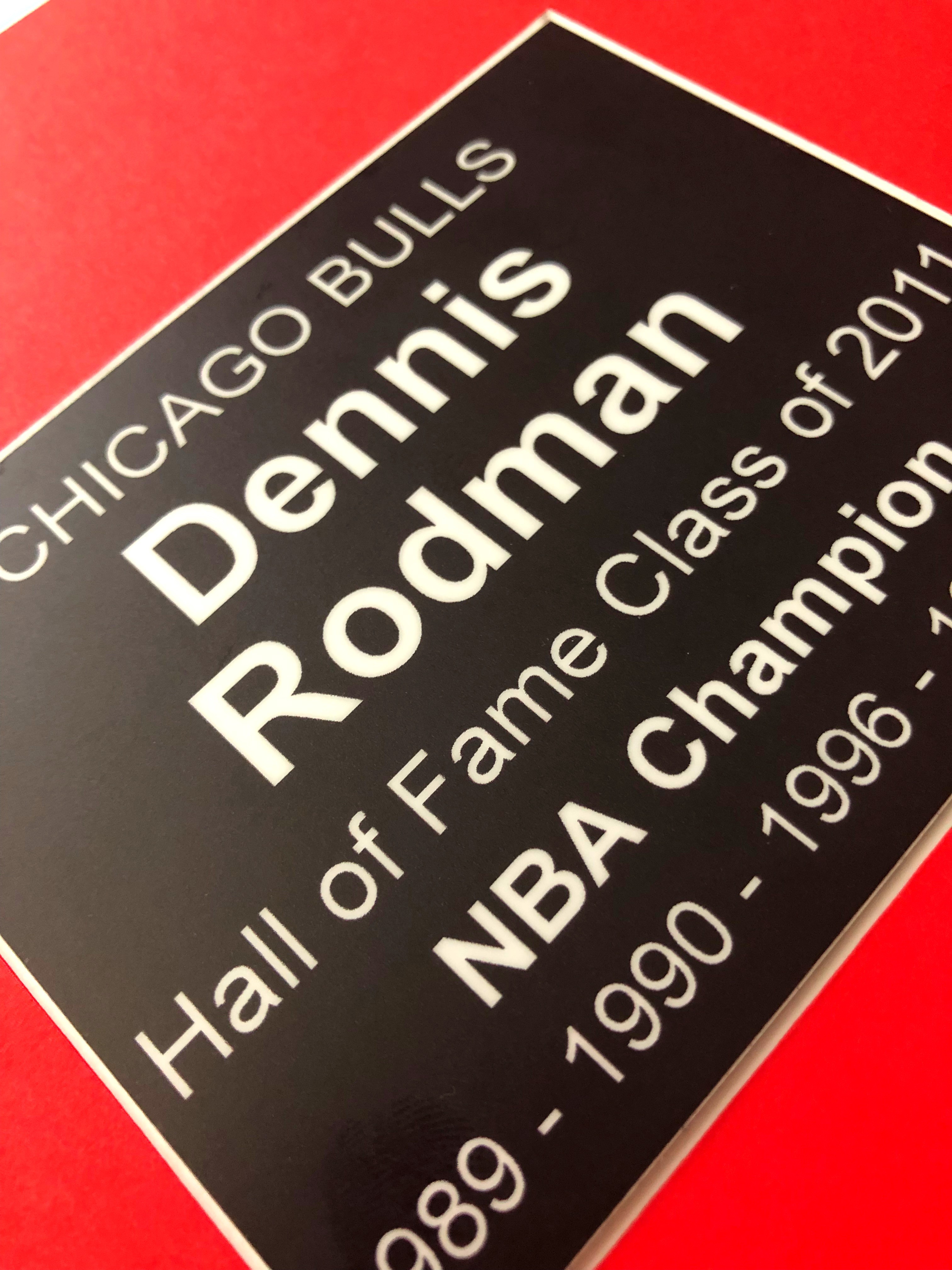 Dennis Rodman Chicago Bulls Signed And Framed Jersey - CharityStars