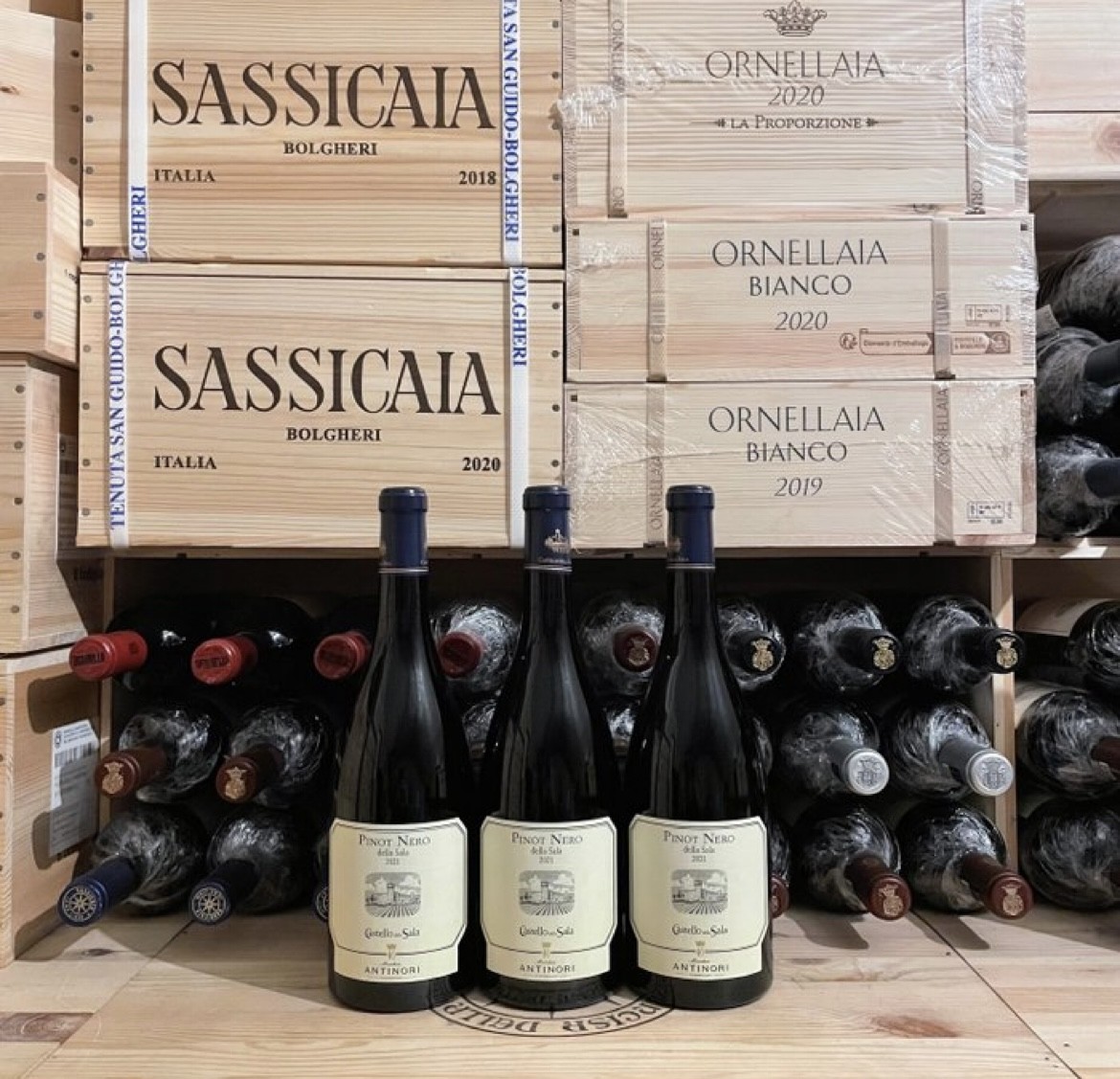 Pinot Noir della Sala 2021 Castello della Sala Marchesi Antinori ...