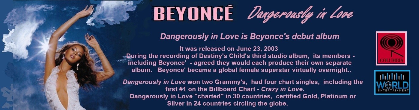 Beyonce 'Dangerously In Love' Debut Album Award - CharityStars
