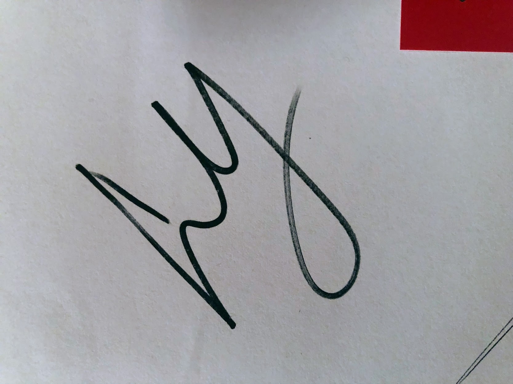 Charles Leclerc and Carlos Sainz Jr Signs - CharityStars