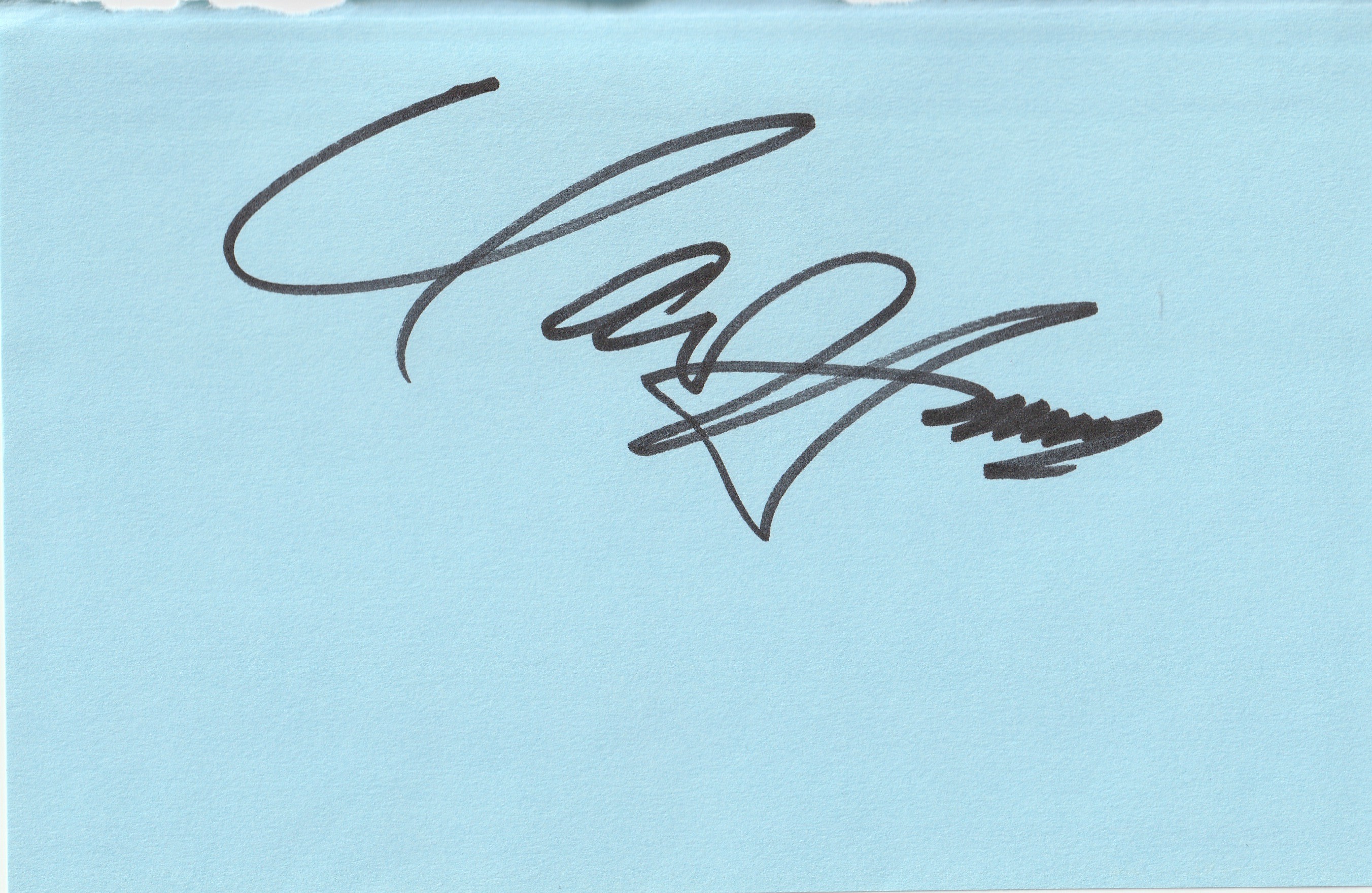 David Hasselhoff Baywatch Signed Display - CharityStars