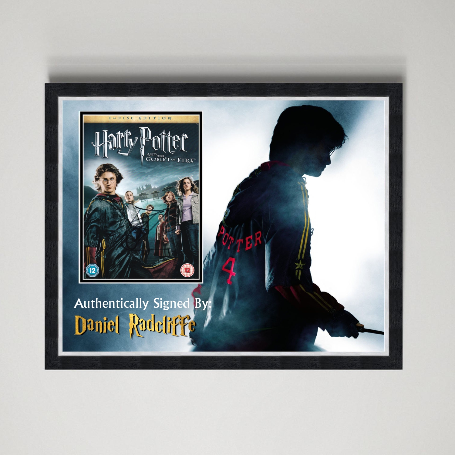Daniel Radcliffe Signed Harry Potter Display with DVD - CharityStars