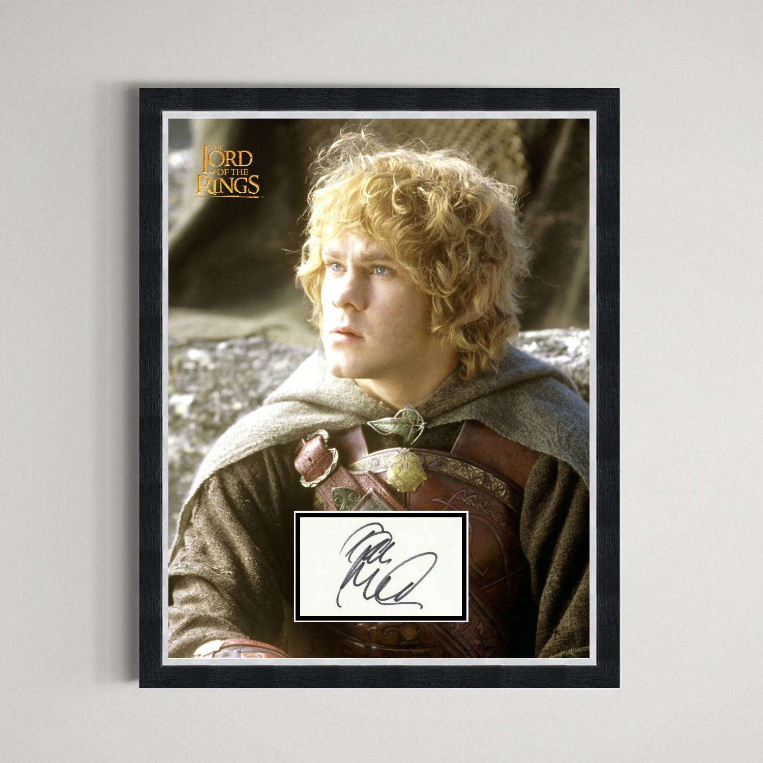 Dominic Monoghan Signed Lord of the Rings Display - CharityStars