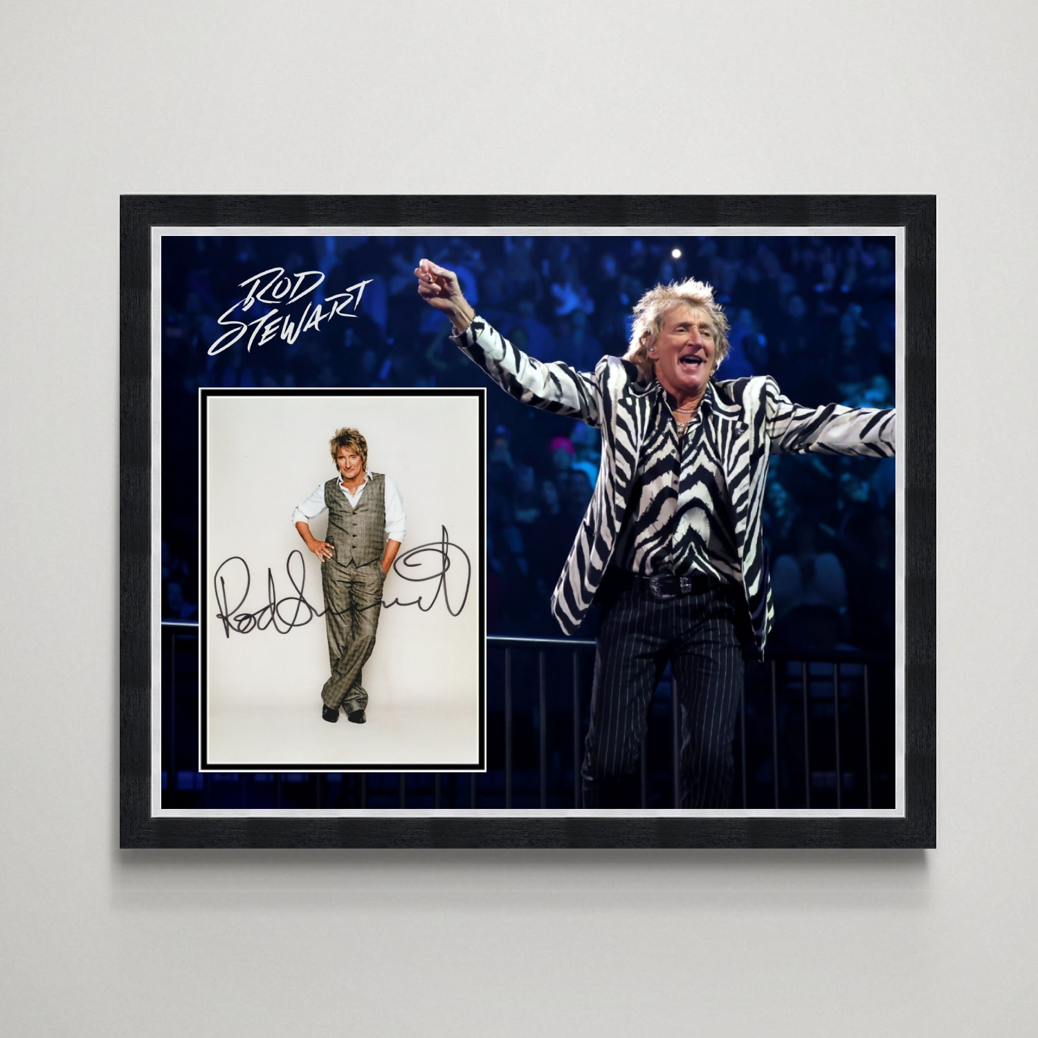 Rod Stewart Signed Display - CharityStars