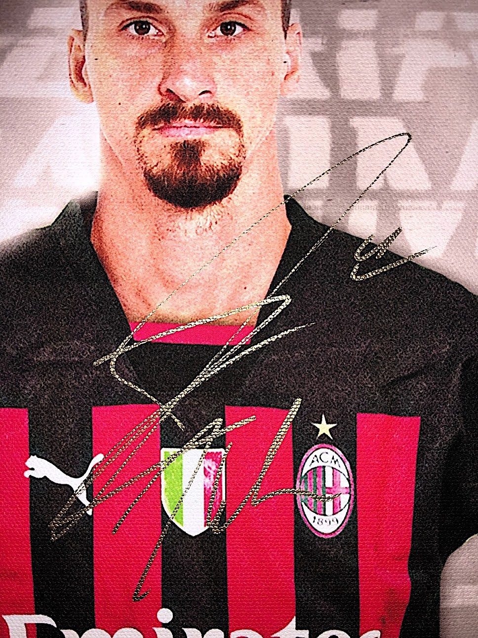 Zlatan Ibrahimovic Signed Canvas - CharityStars