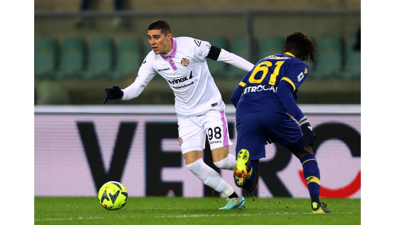 Zanimacchia's Worn Shirt, Hellas Verona-Cremonese 2023 - Special Vialli ...