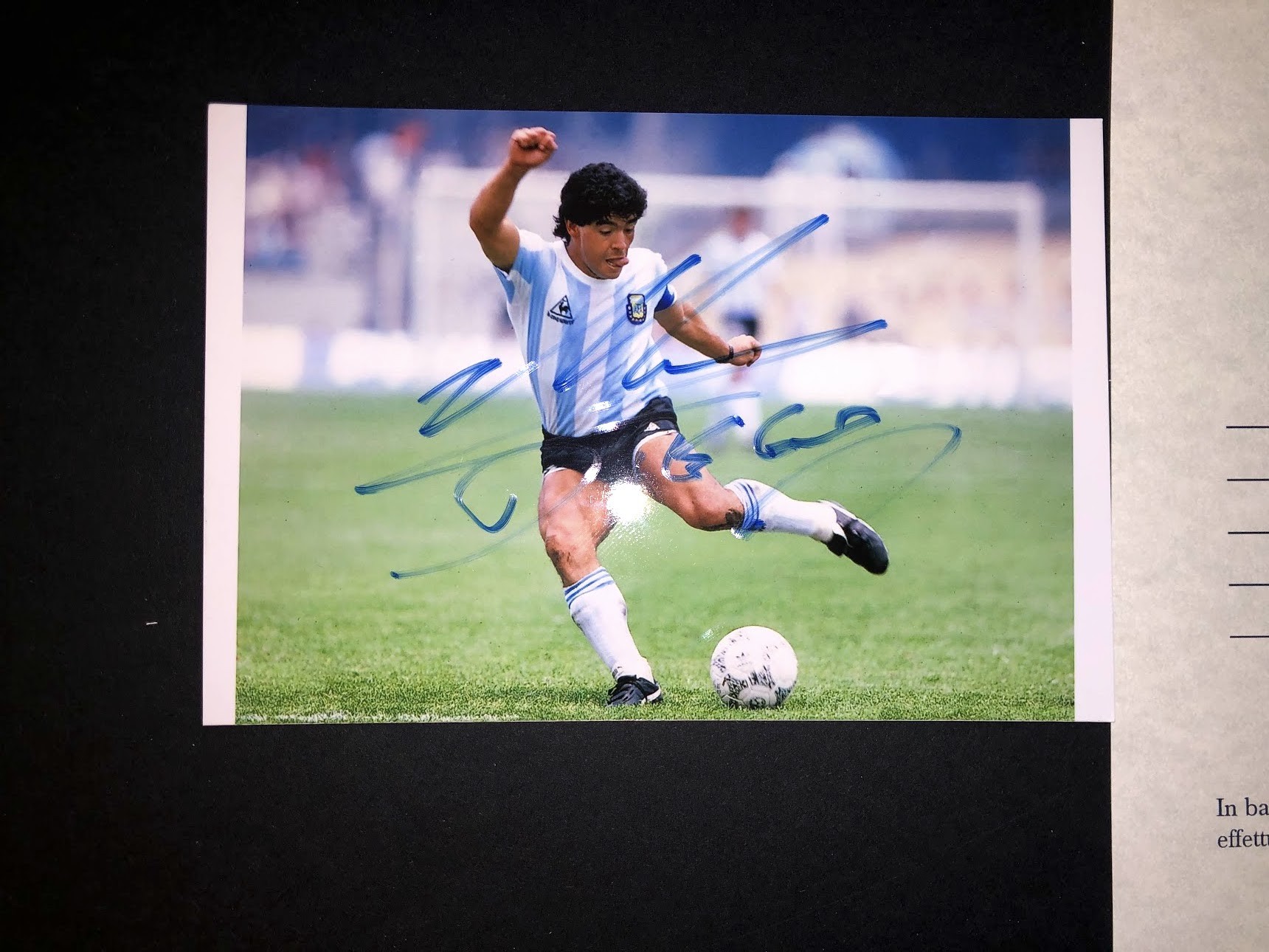 Diego Armando Maradona Signed Photograph - CharityStars